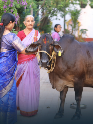 Donation - Jiva Gosala
